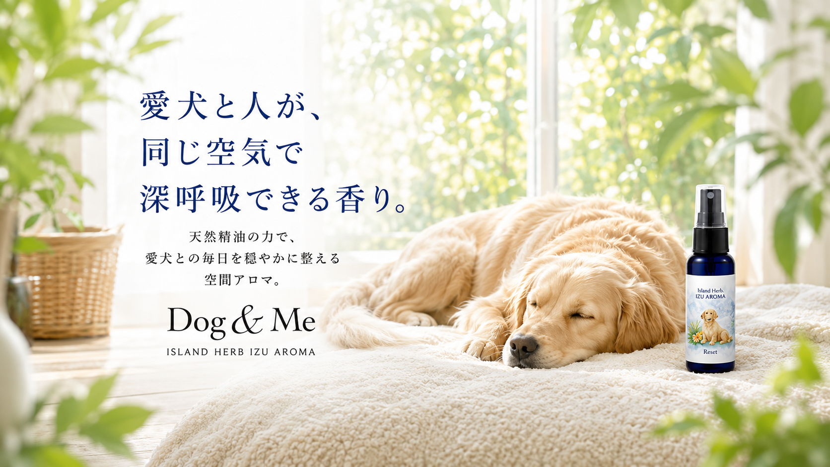 Dog & Me シリーズ ｜アイランドハーブ伊豆アロマ – island herb izu aroma